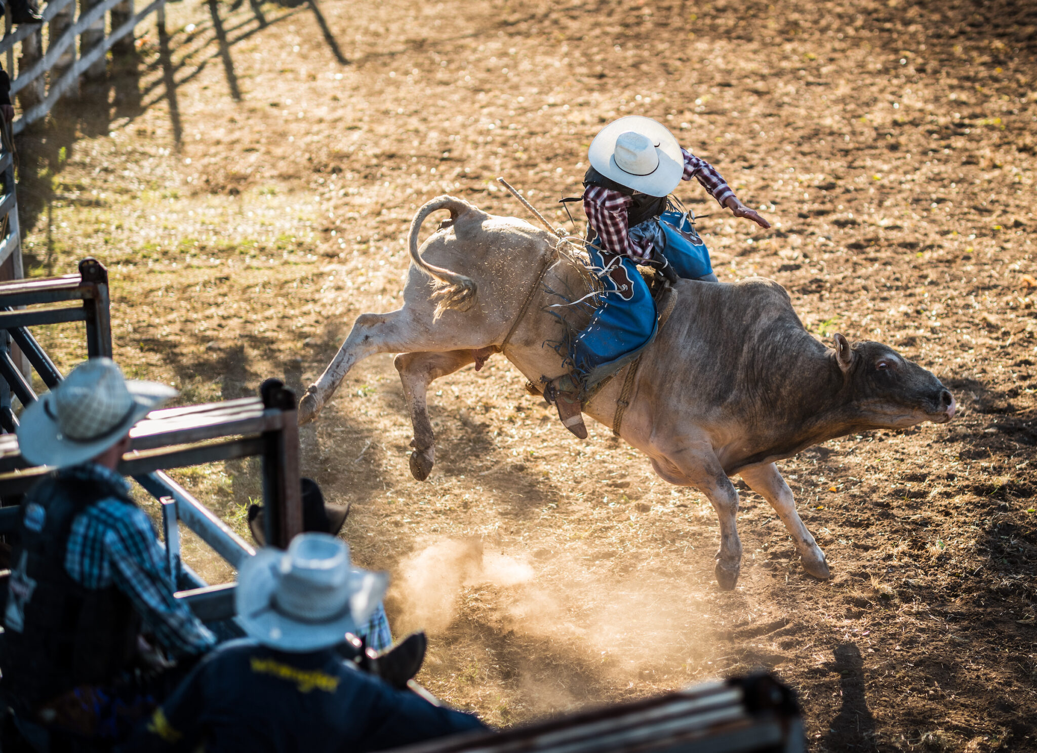 Bulls, Broncs and Live Music - Hughenden Festival of Outback Skies